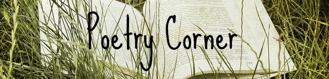 Poetry Corner 5 | Bethany Wren